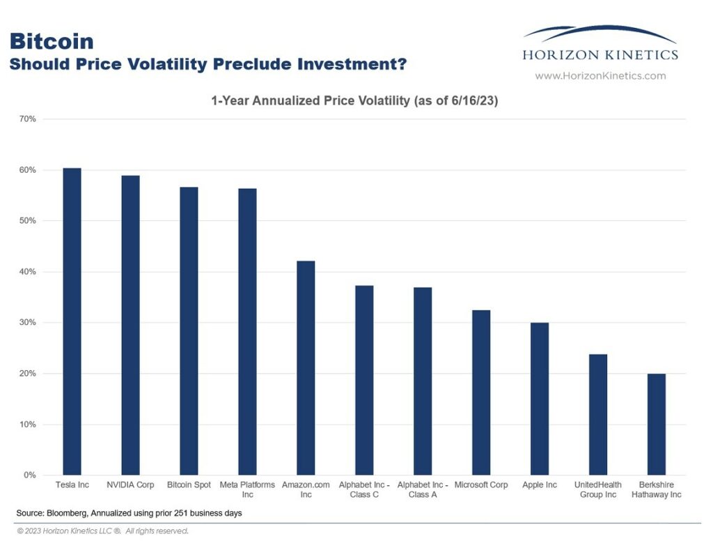 68. Bitcoin, Price Volatility, and Your Portfolio | Horizon Kinetics